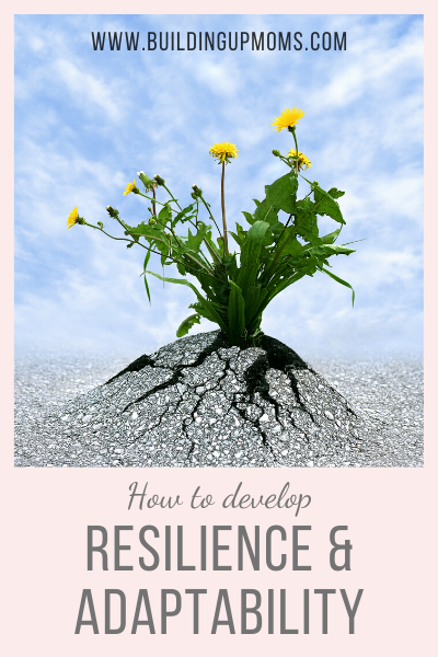 Resilience_PIN - Building Up Moms Resilience_PIN - Building Up Moms